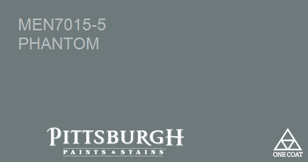 Paint Color - Phantom