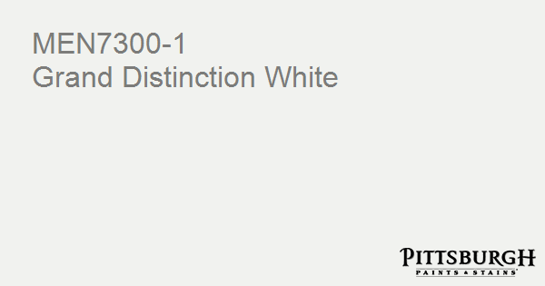 Paint Color - Grand Distinction White